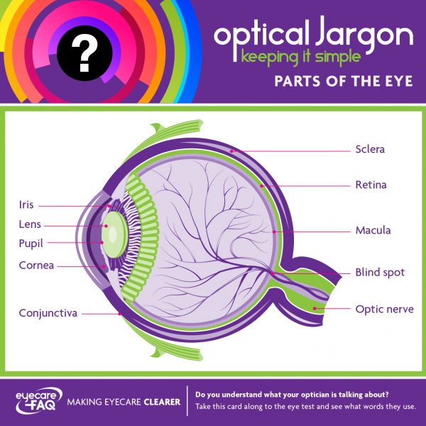 Parts of the eye explained by eyecareFAQ