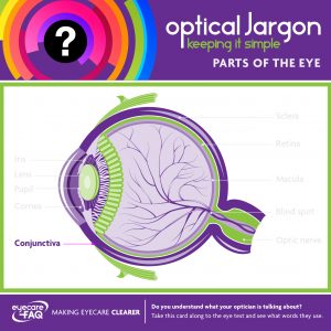 Parts of the eye explained by eyecareFAQ