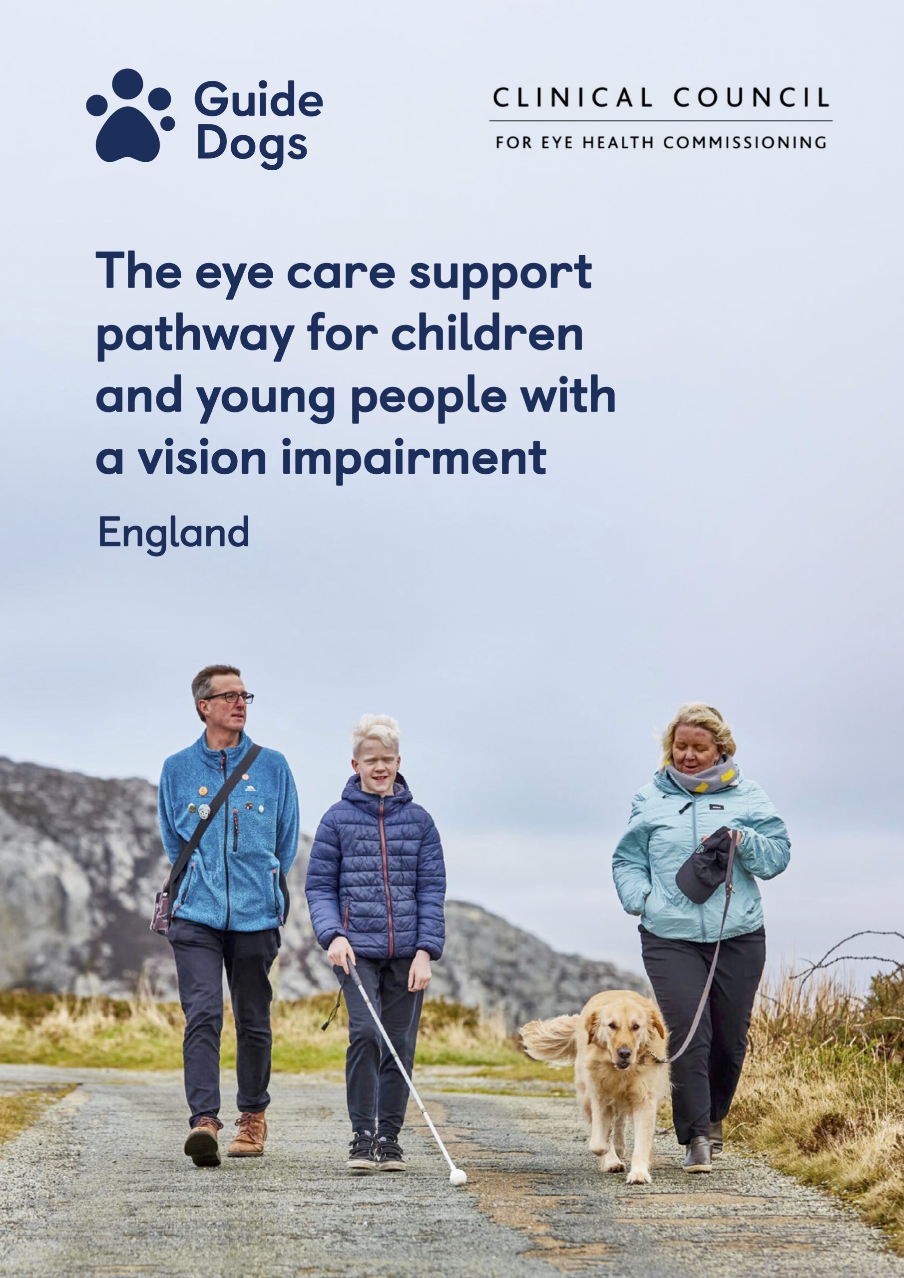 New VI support pathway for children - ABDO